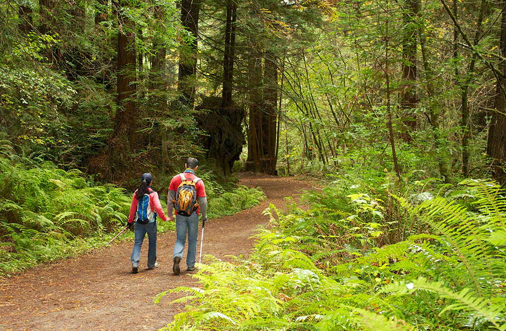 Walking and Hiking | Midpeninsula Regional Open Space District