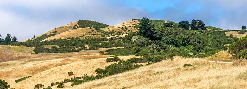 Transparency Portal | Midpeninsula Regional Open Space District