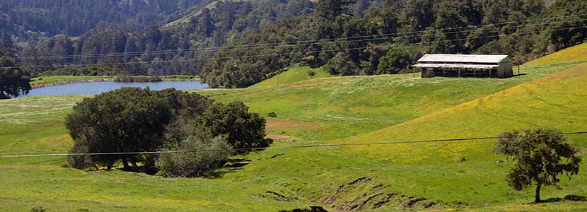 Driscoll Ranch | Midpeninsula Regional Open Space District