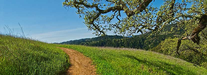 Policies | Midpeninsula Regional Open Space District