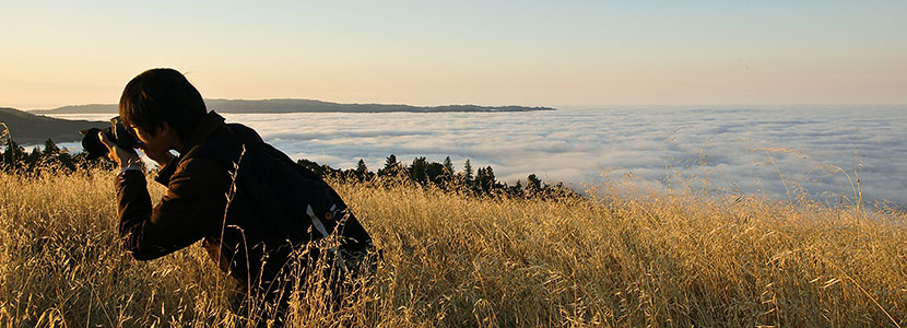 Photo Contest - Rules | Midpeninsula Regional Open Space District