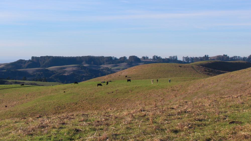 Russian Ridge Preserve | Midpeninsula Regional Open Space District