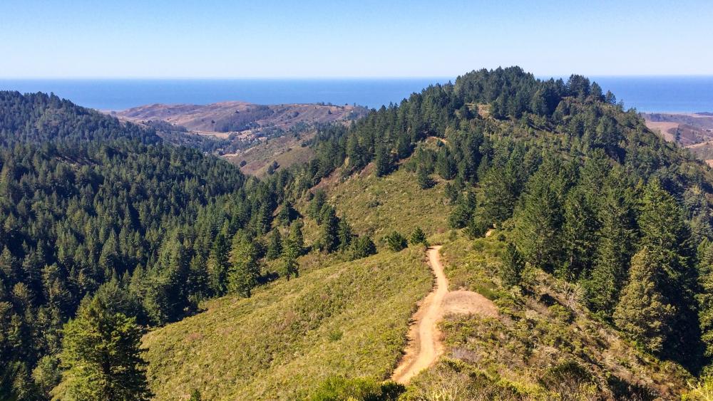 Purisima Creek Redwoods Preserve | Midpeninsula Regional Open Space ...