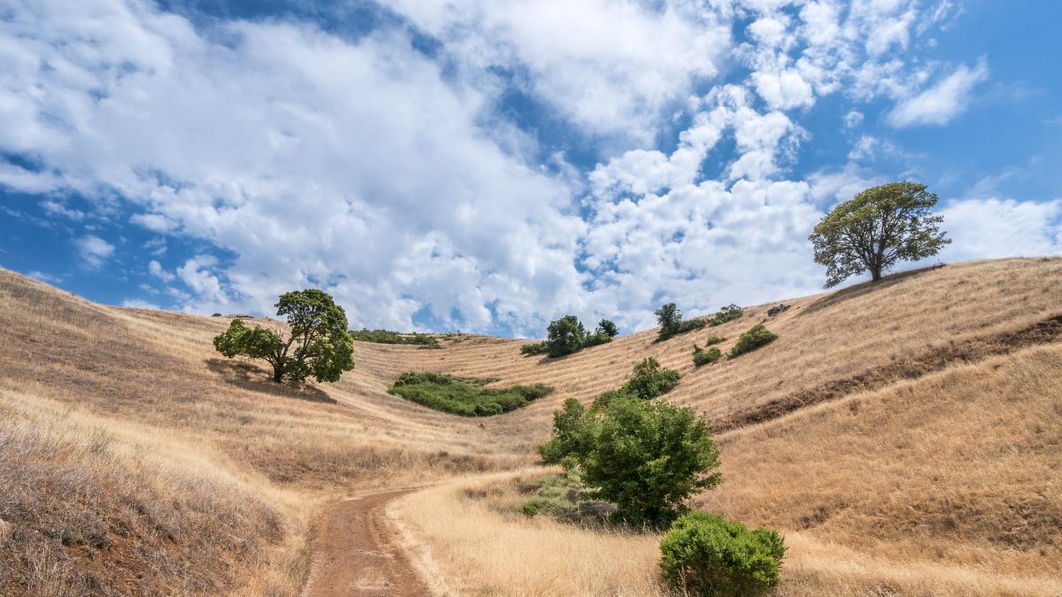 Monte Bello Preserve | Midpeninsula Regional Open Space District