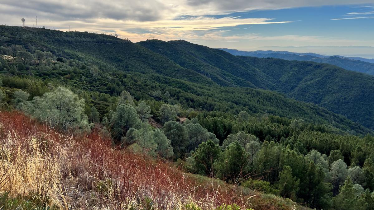 Midpen Purchases 100-Acre Inholding in Sierra Azul Open Space Preserve ...