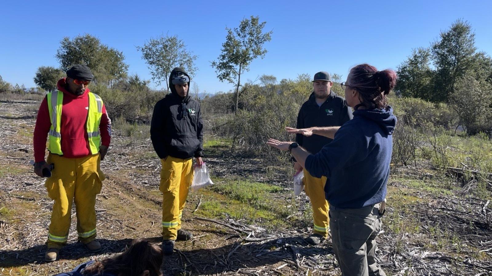 Growing Oak Trees, One Acorn at a Time | Midpeninsula Regional Open ...