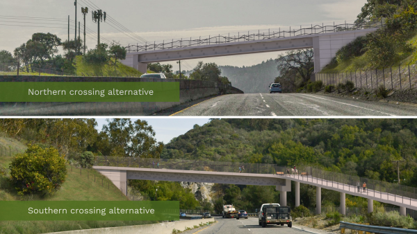 Highway 17 Wildlife and Trail Crossings | Midpeninsula Regional Open ...