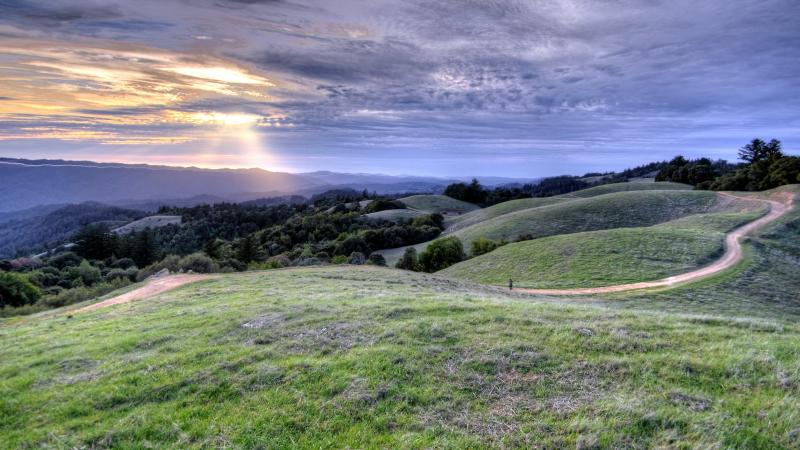 Long Ridge Preserve | Midpeninsula Regional Open Space District