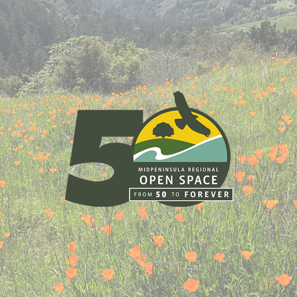 Midpen Explore Challenge | Midpeninsula Regional Open Space District
