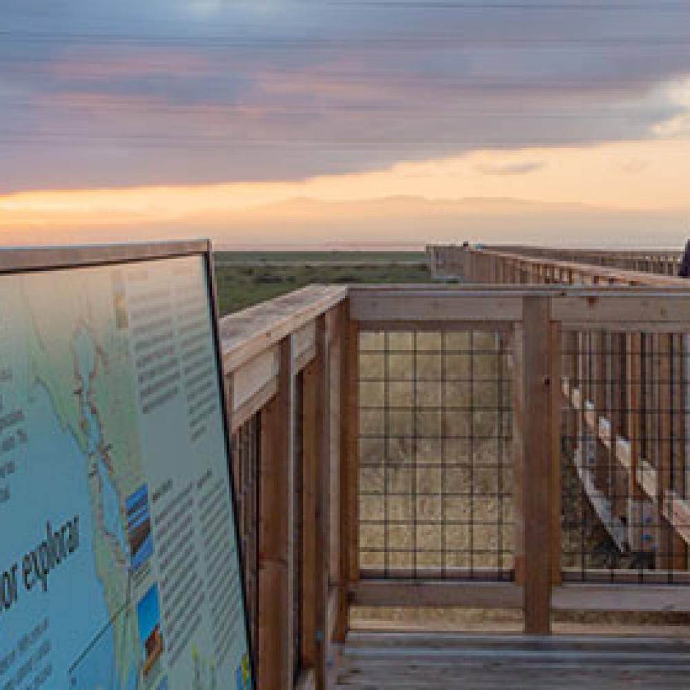 Current Projects and Programs | Midpeninsula Regional Open Space District