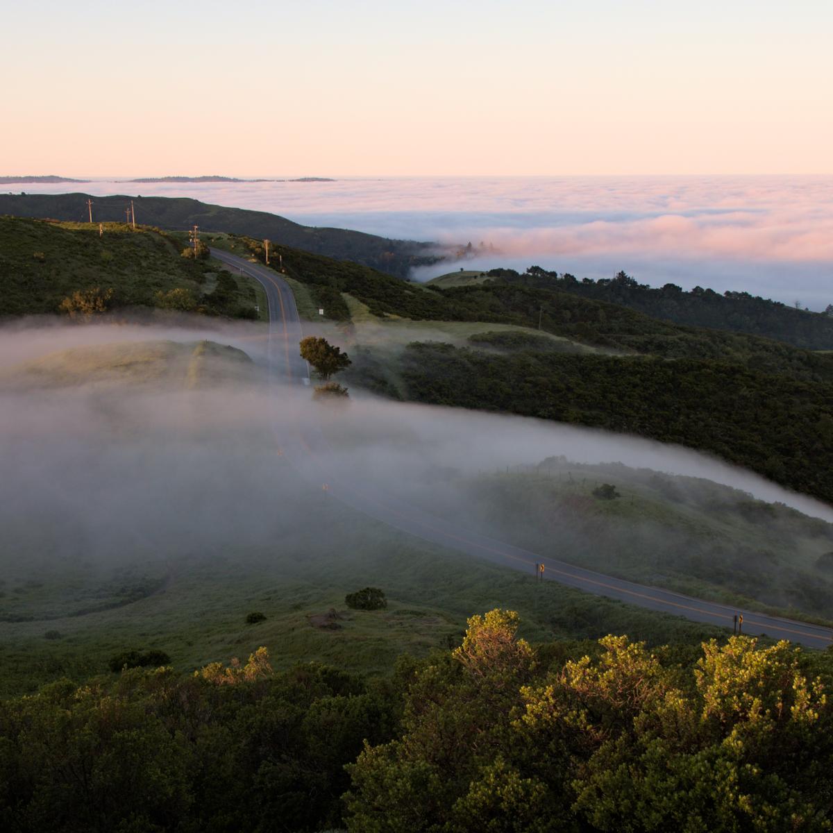 Midpen Careers in Conservation Job Fair | Midpeninsula Regional Open ...