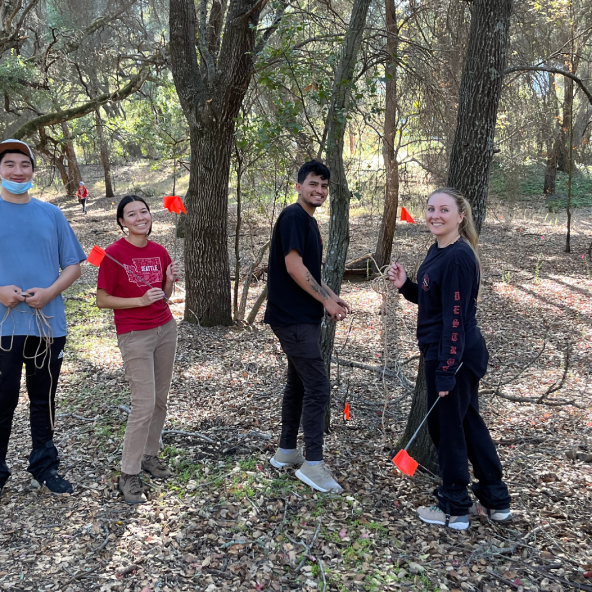 Diversity, Equity & Inclusion at Midpen | Midpeninsula Regional Open ...