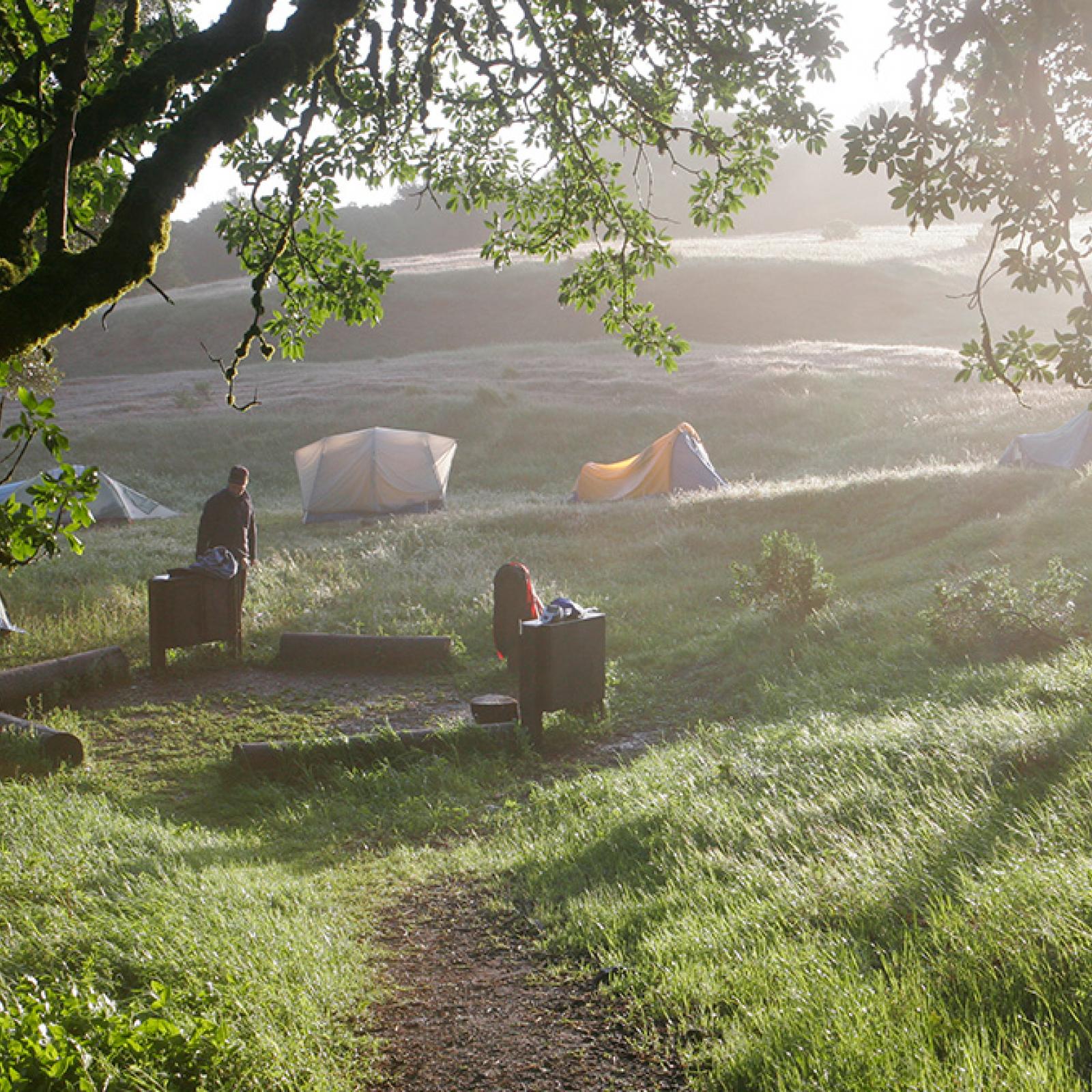 What to Do | Midpeninsula Regional Open Space District