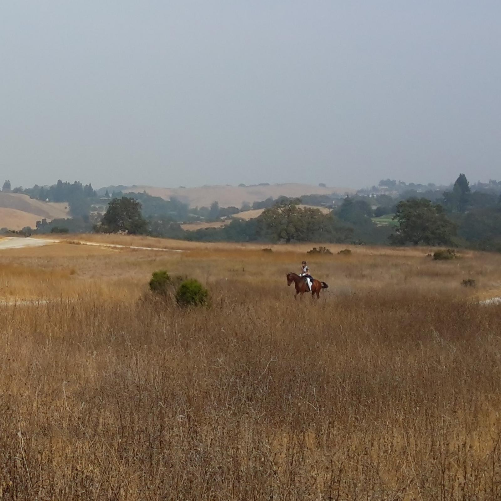 Midpeninsula Regional Open Space District