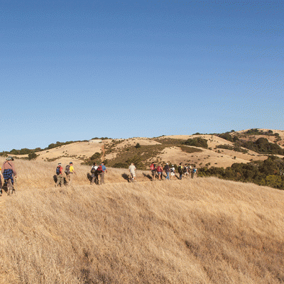 Visit a Preserve | Midpeninsula Regional Open Space District