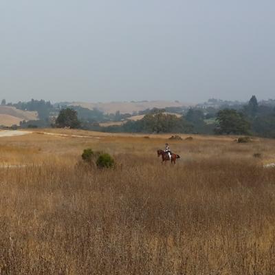 Midpeninsula Regional Open Space District